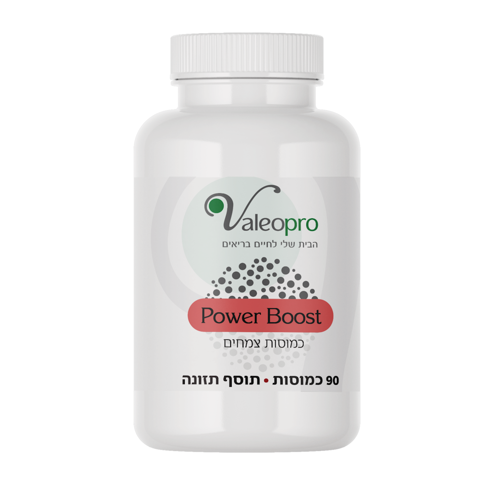 Power Boost - פאוור בוסט 90 כמוסות - Valeopro
